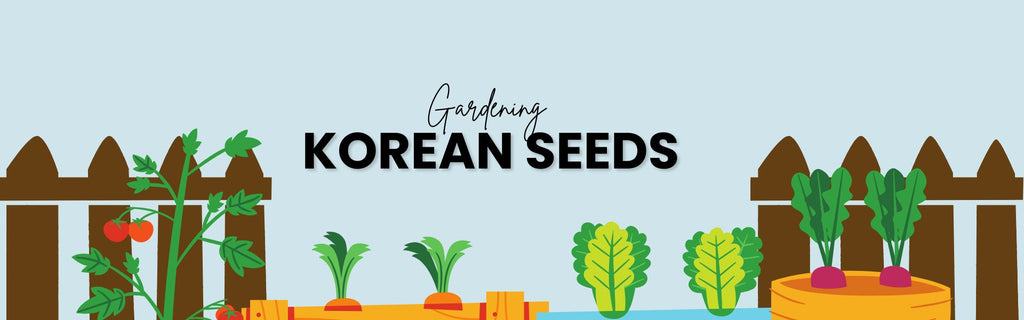 Produce > Korean Seeds