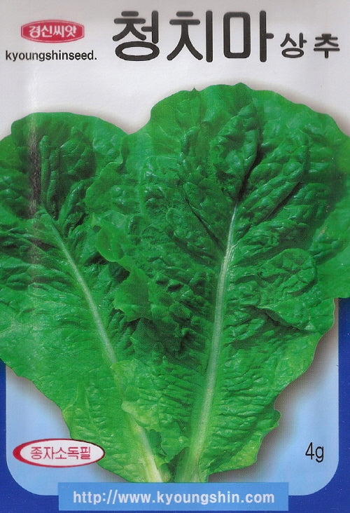 [KOREAN SEEDS]청치마 상추 /Green Lettuce
